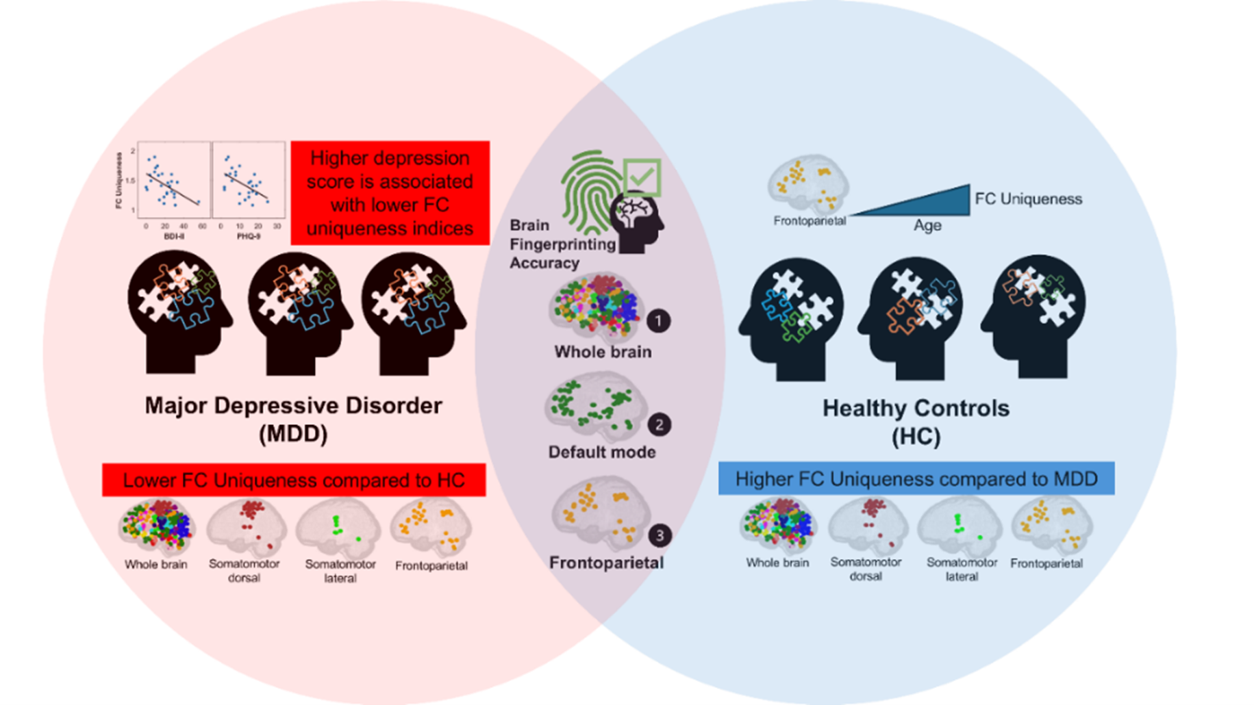 Clinical relevance of brain functional connectome uniqueness in major ...