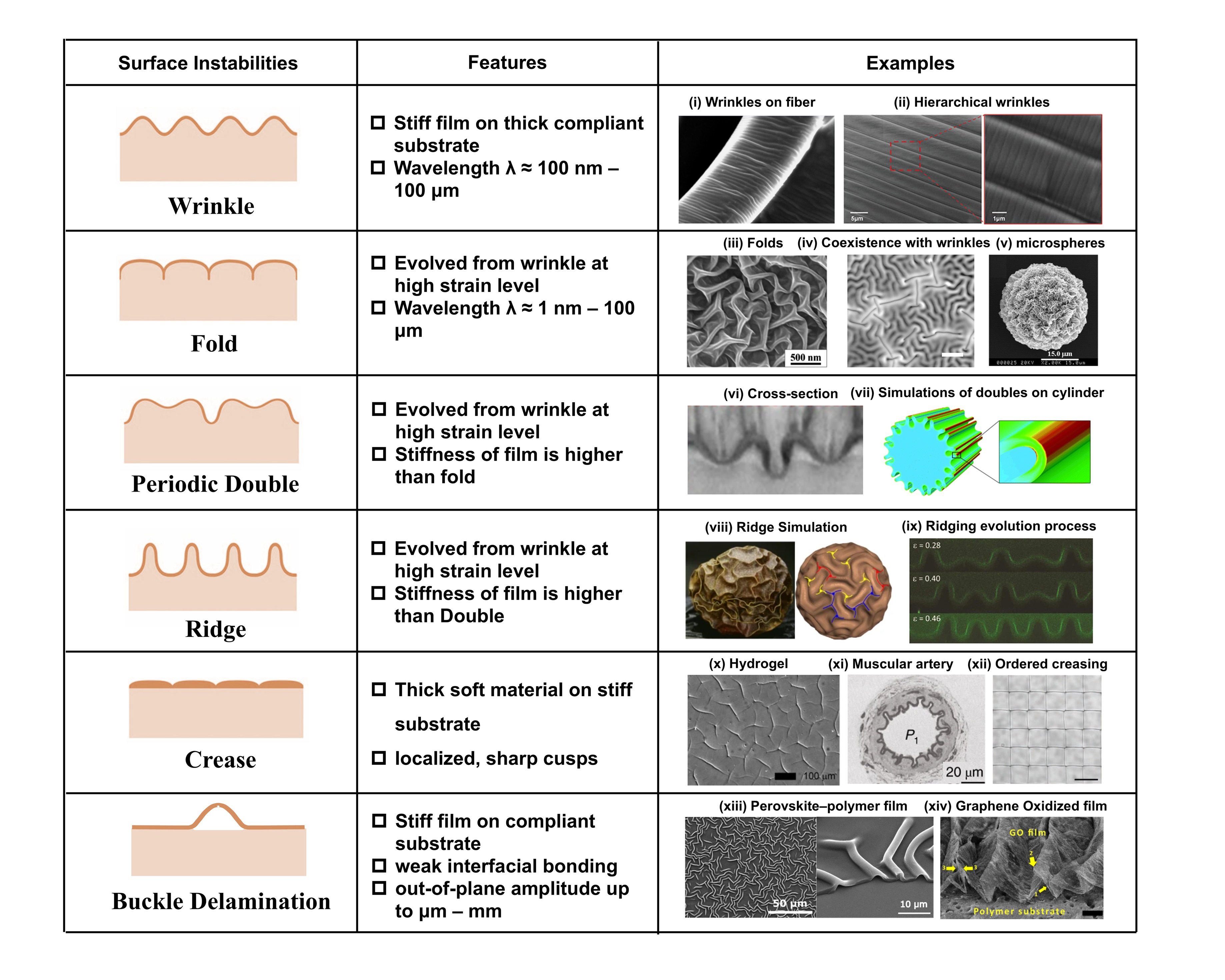 Lingnan University collaborative research explores future applications ...