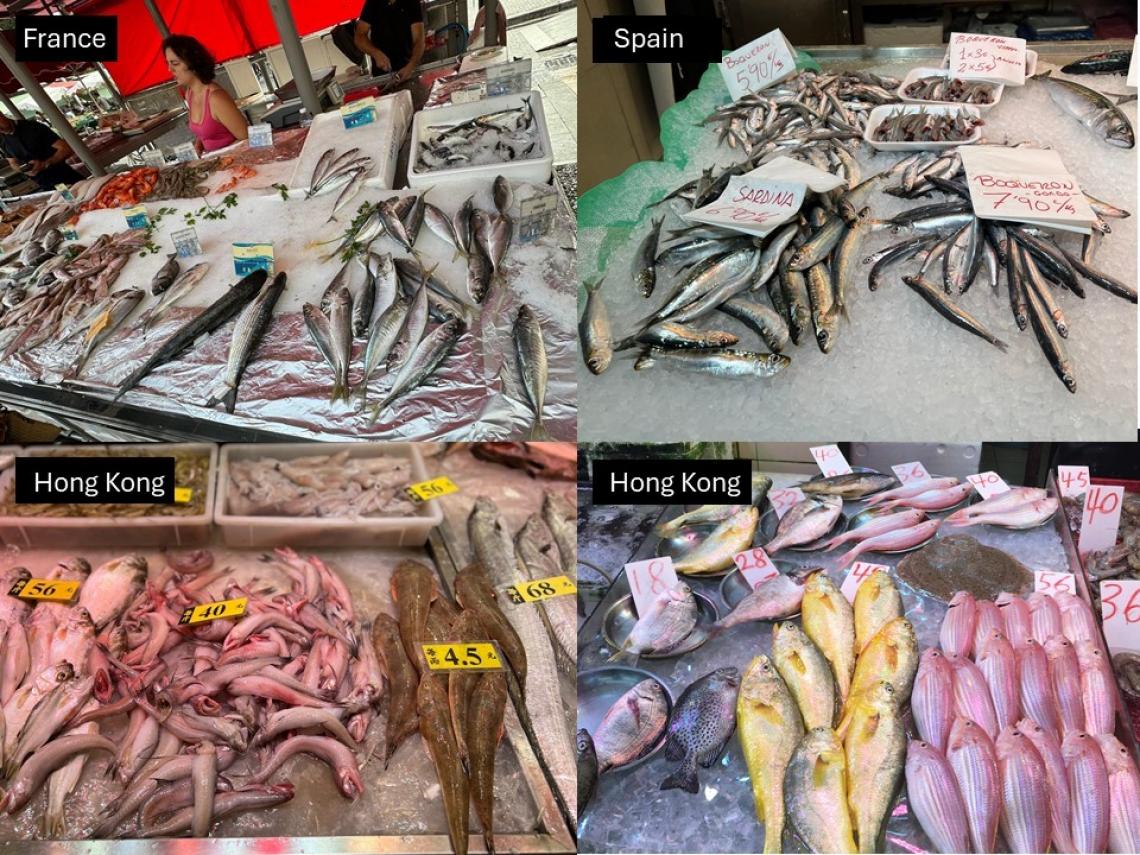 CityUHK scholar participates in global study revealing global food ...
