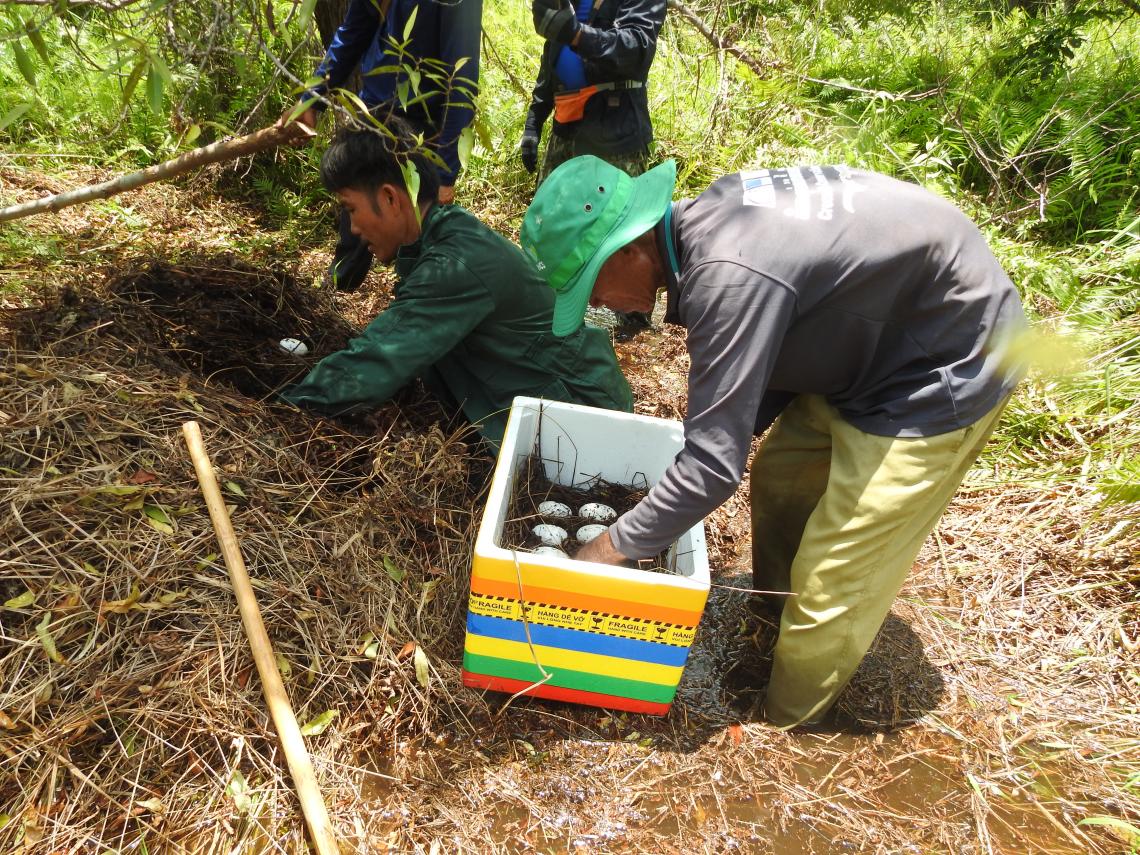 Community-Led Conservation in Laos Is Bringing One of the World’s ...