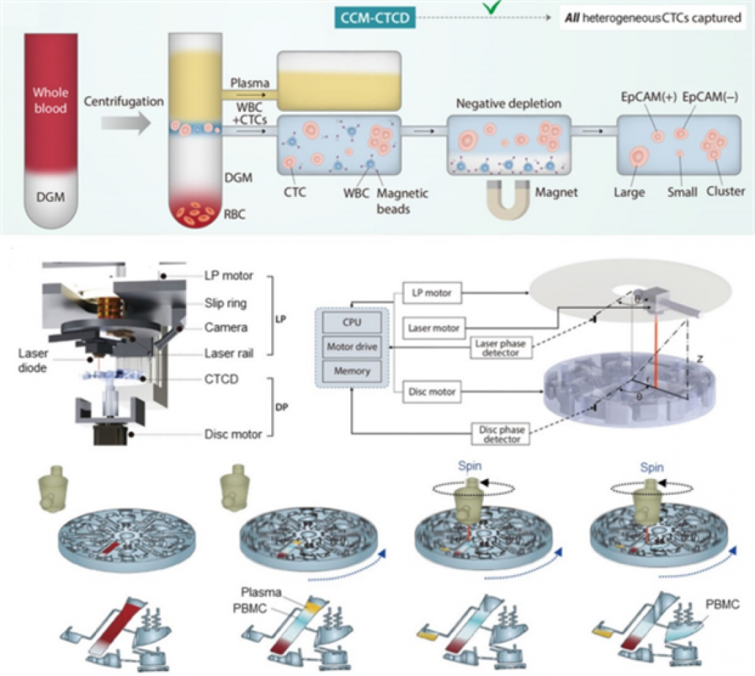 All types of cancer cells are captured during spin | Asia Research News