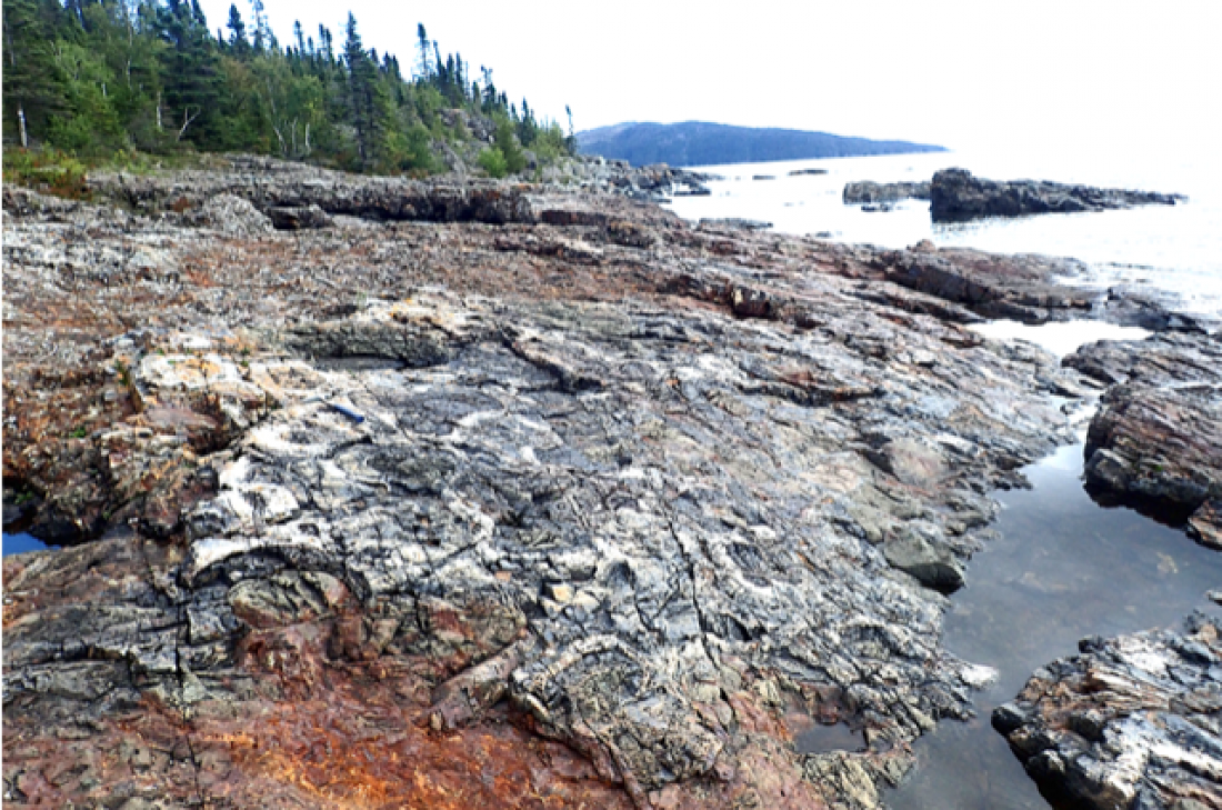 Discovery of New Types of Microfossils May Answer an Age-old Scientific ...