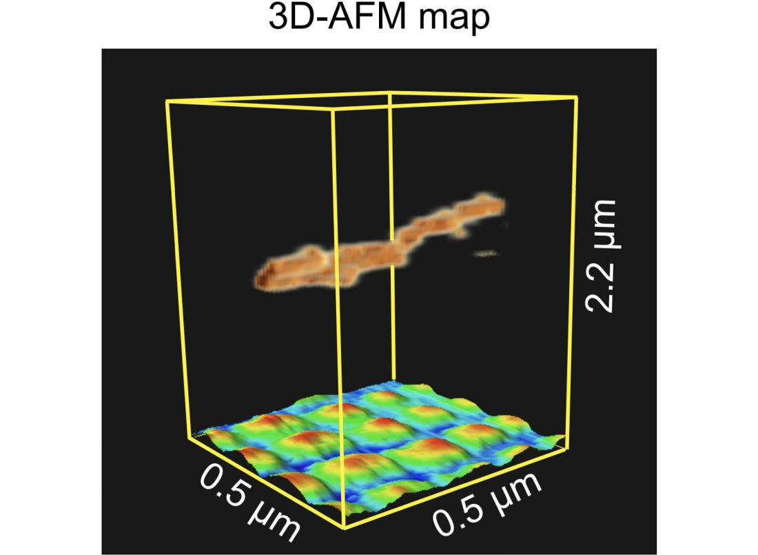 Atomic force microscopy in 3D | Asia Research News