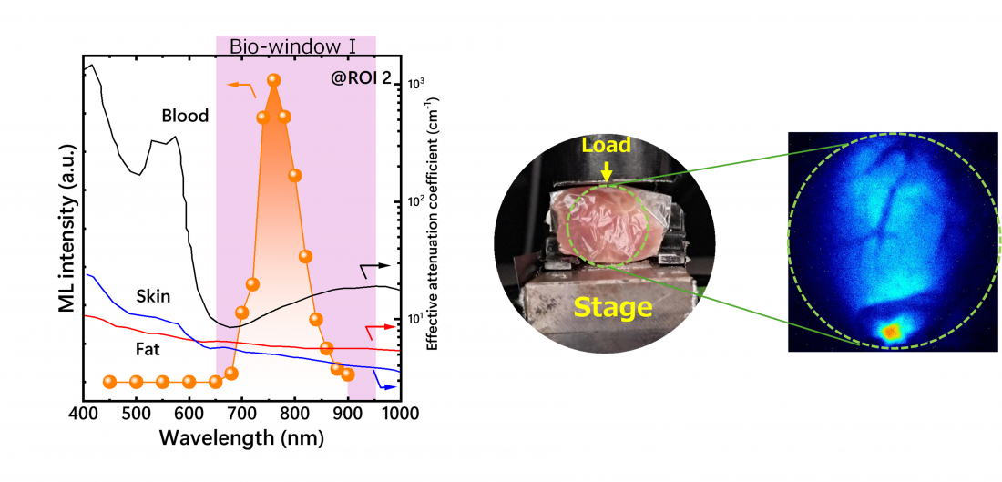 Rare-Earth-Free Zinc Oxide Achieves a First in Stress-to-Light ...